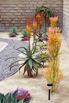 XERISCAPE What It Is And The 7 Principles Of Xeriscape Design